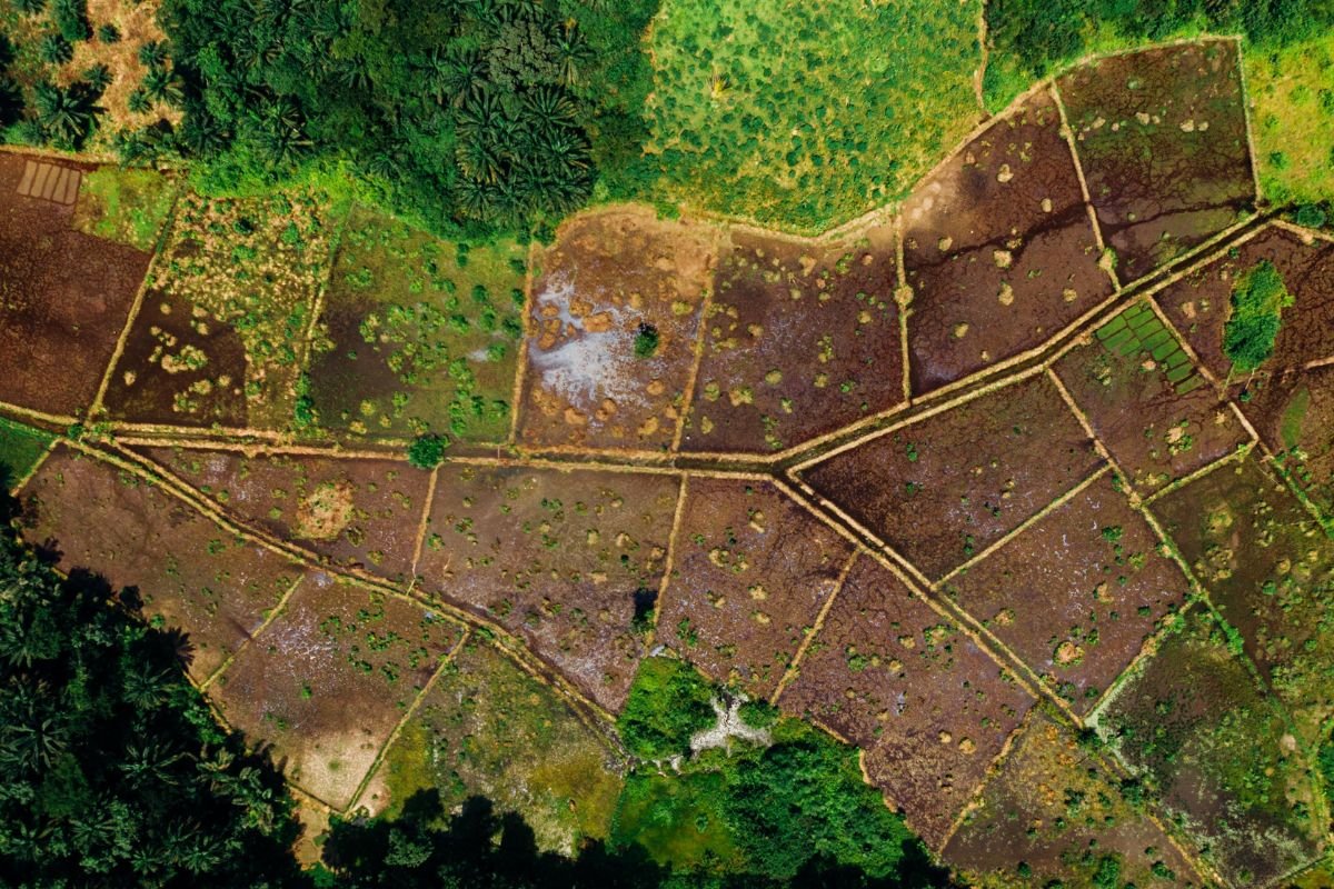 Kokia žemės kaina už hektarą yra prašoma 2025 metais?